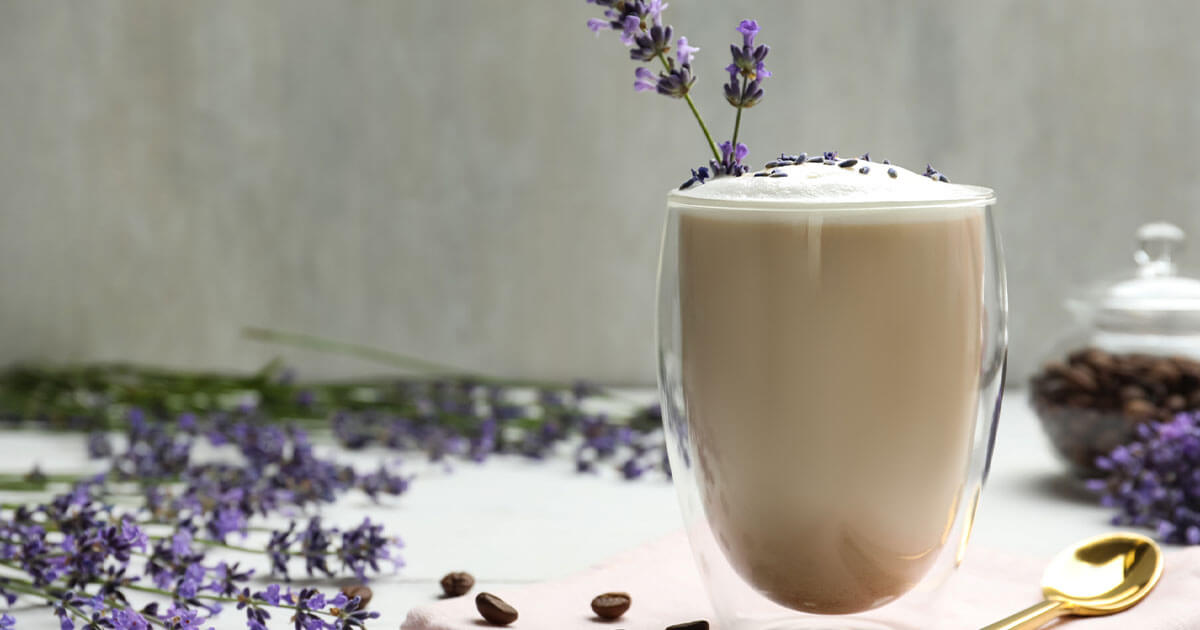 Lavender Latte – Everything You Need To Know